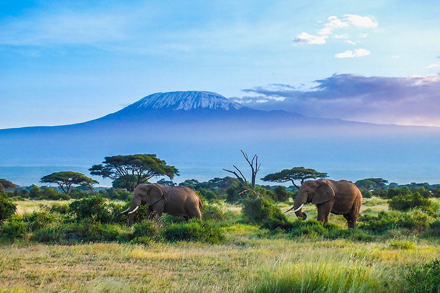Expat guide to living in Tanzania, from healthcare to education & more